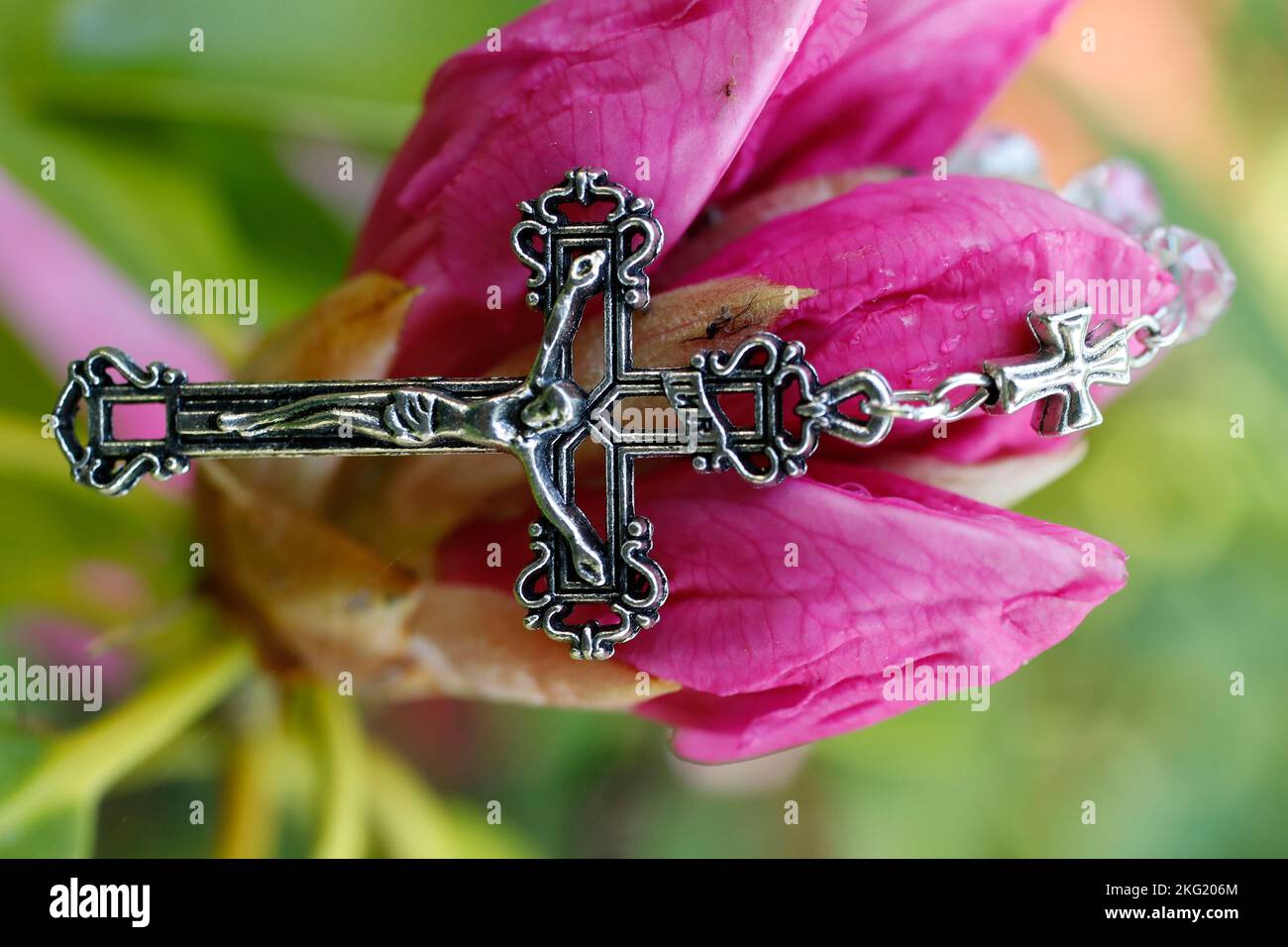 Catholic Rosary with Jesus on the cross on a pink rhododendron flower ...