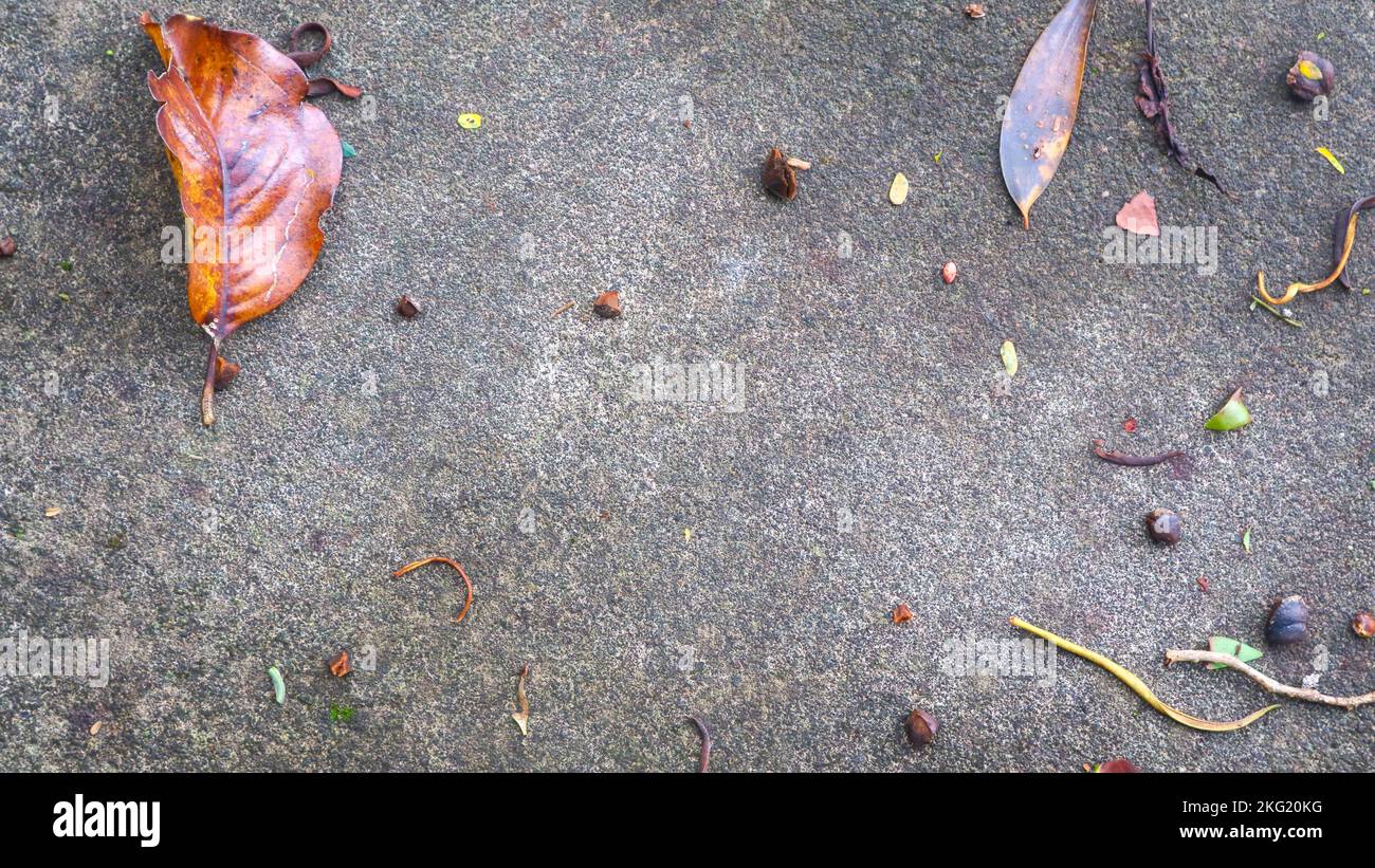 concrete road texture with fallen leaves Stock Photo - Alamy