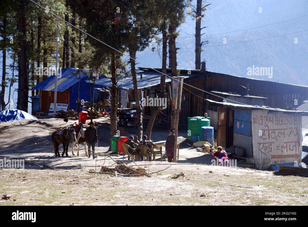 a man leads two horses through a village in rara lake national park in ...