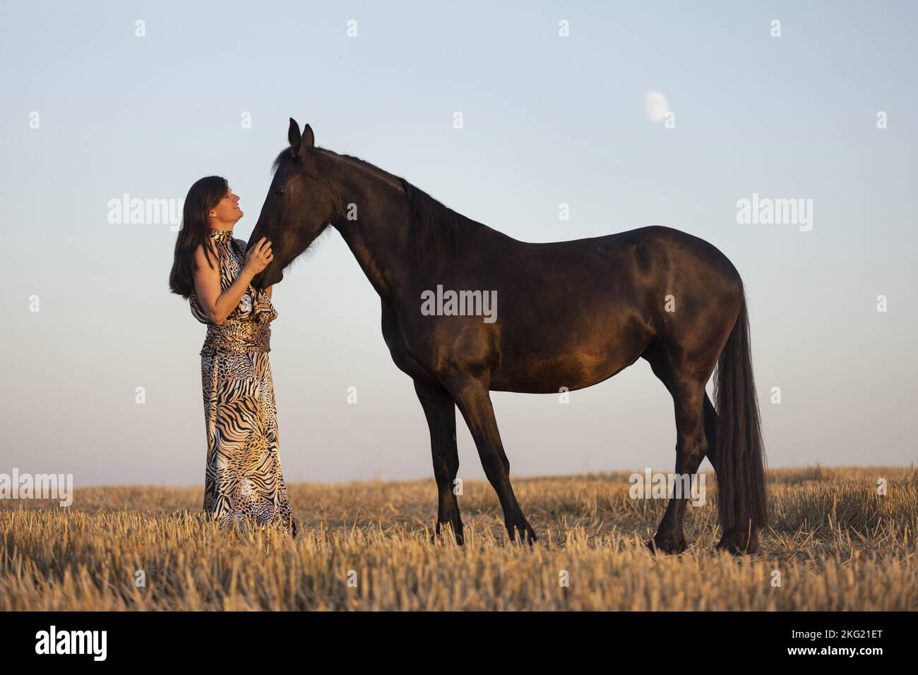 young woman with friesian mare Stock Photo - Alamy