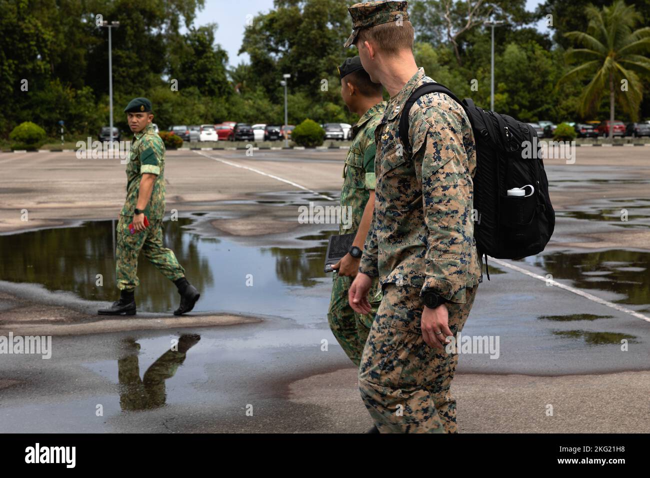 Reconnaissance battalion hi hi-res stock photography and images - Alamy