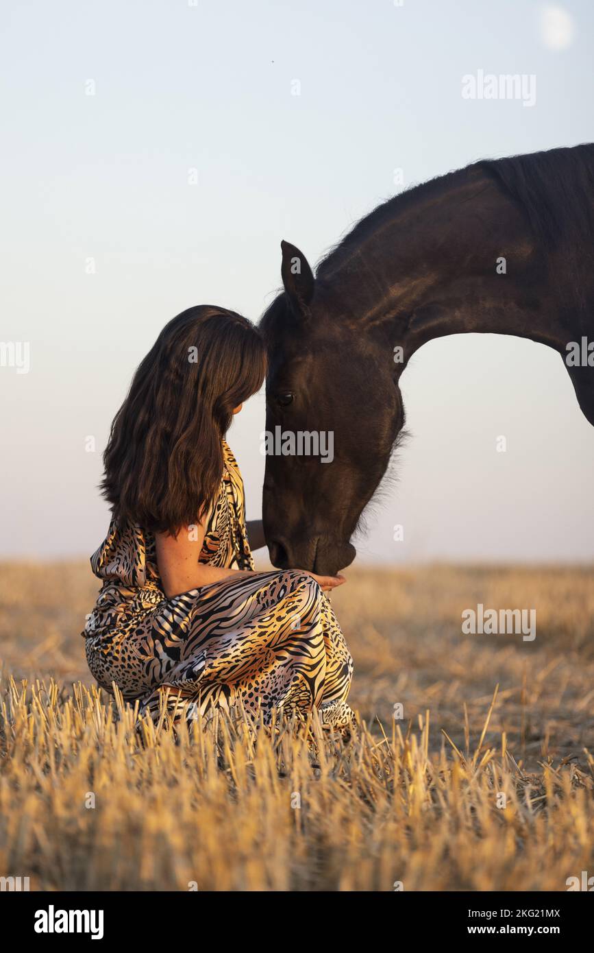 young woman with friesian mare Stock Photo - Alamy
