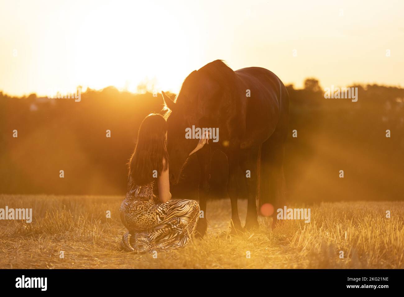 young woman with friesian mare Stock Photo - Alamy