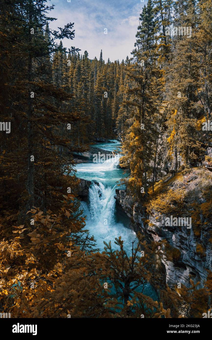 Vertical shot park scenery hi-res stock photography and images - Alamy