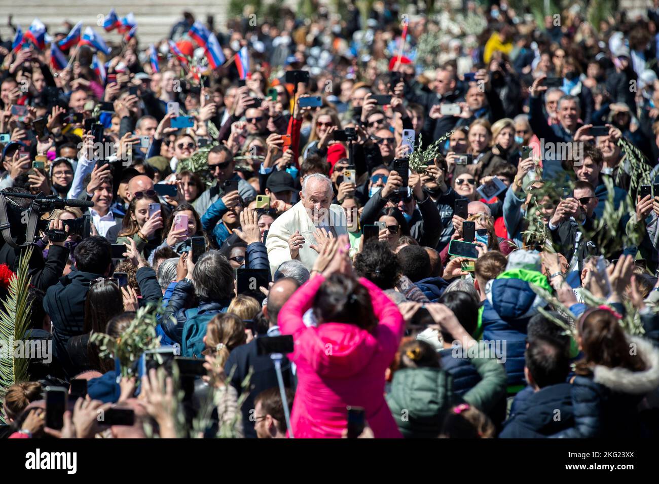 Pope Francis leads the Palm Sunday mass in St. Peter square,Palm Sunday ...