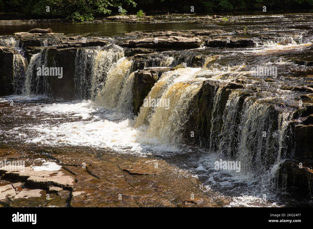 Aysgarth Falls, waterfalls in Yorkshire Dales National Park, Yorkshire ...