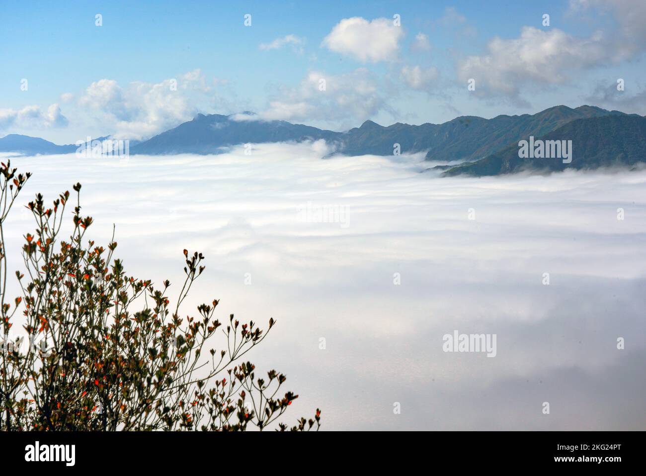 Aerial photos show the splendid views of Tianhu Naitonal Wetland Park ...