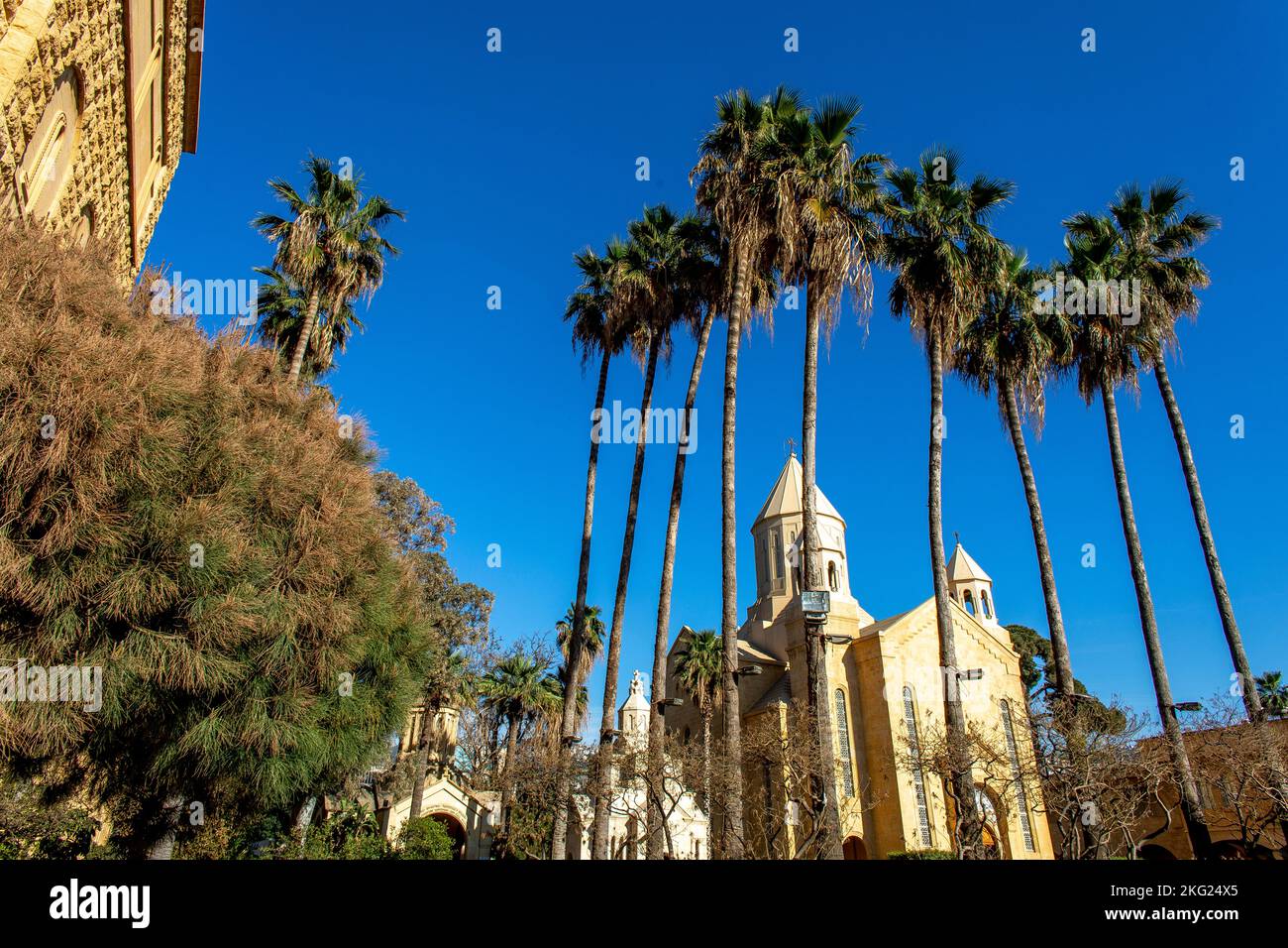 Antelias hi-res stock photography and images - Alamy