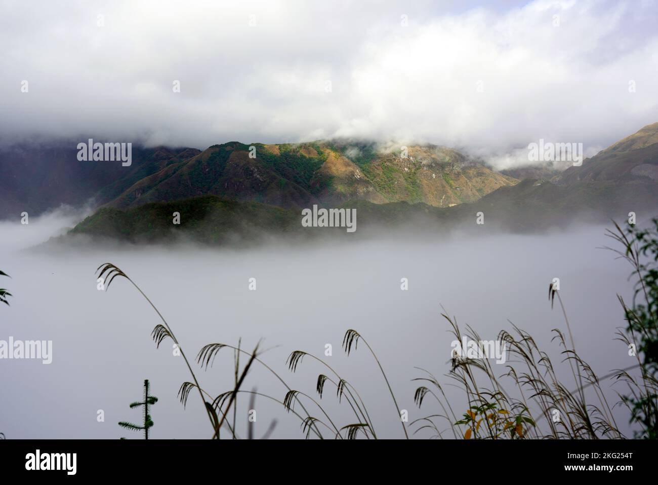 Aerial photos show the splendid views of Tianhu Naitonal Wetland Park ...