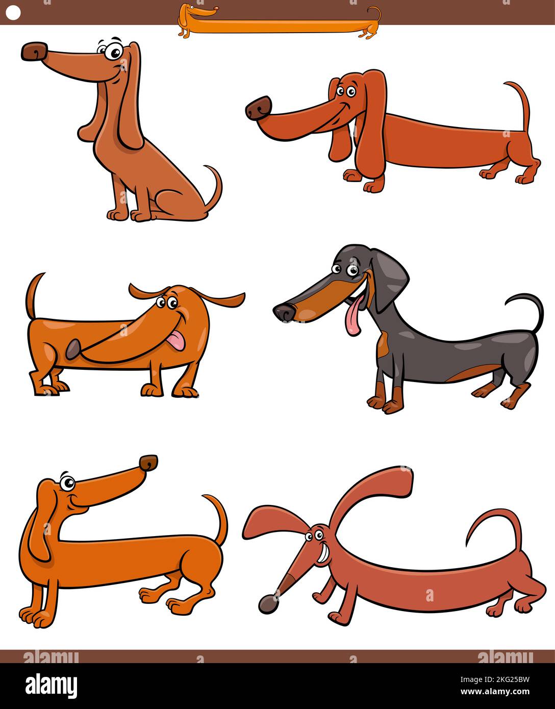 Cartoon illustration of funny dachshunds purebred dogs comic animal ...