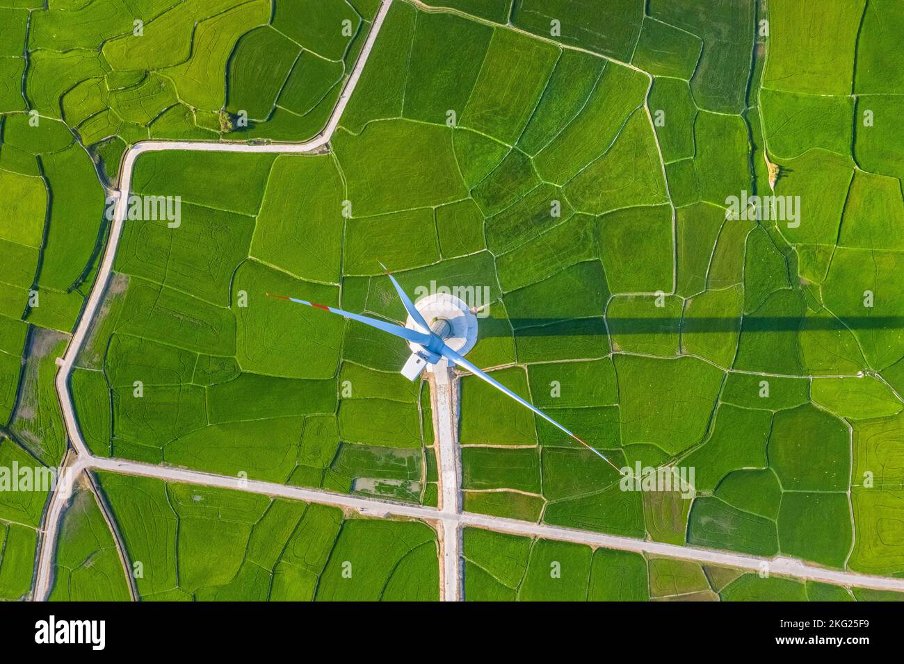 Windmill for electric power production, Wind turbines generating ...