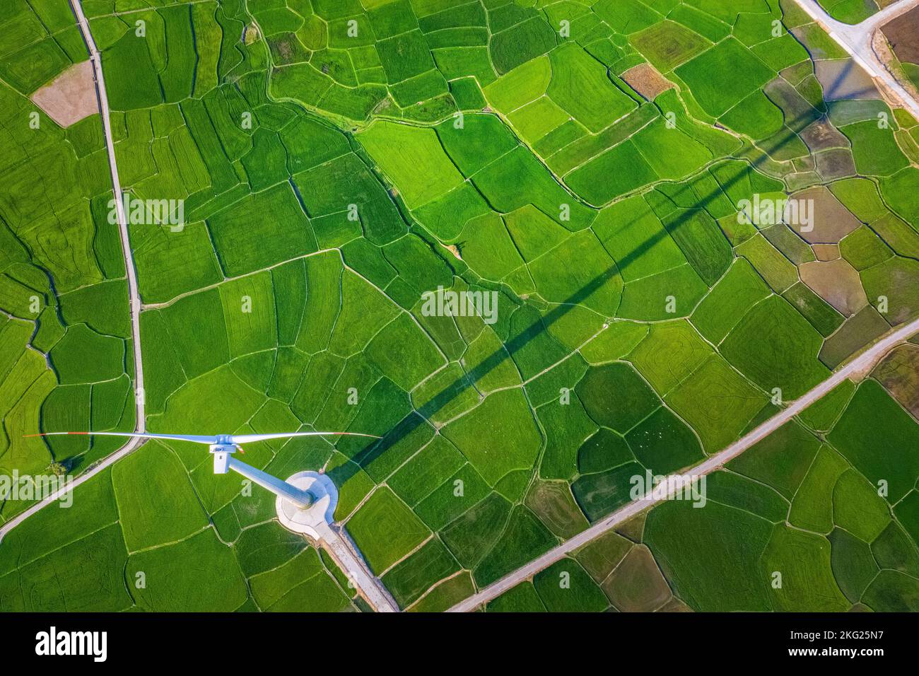 Windmill for electric power production, Wind turbines generating ...