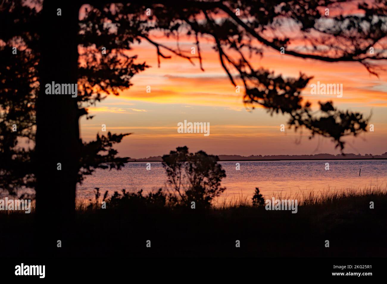 Just before sunrise looking out towards Watts Bay, Atlantic, Virginia ...