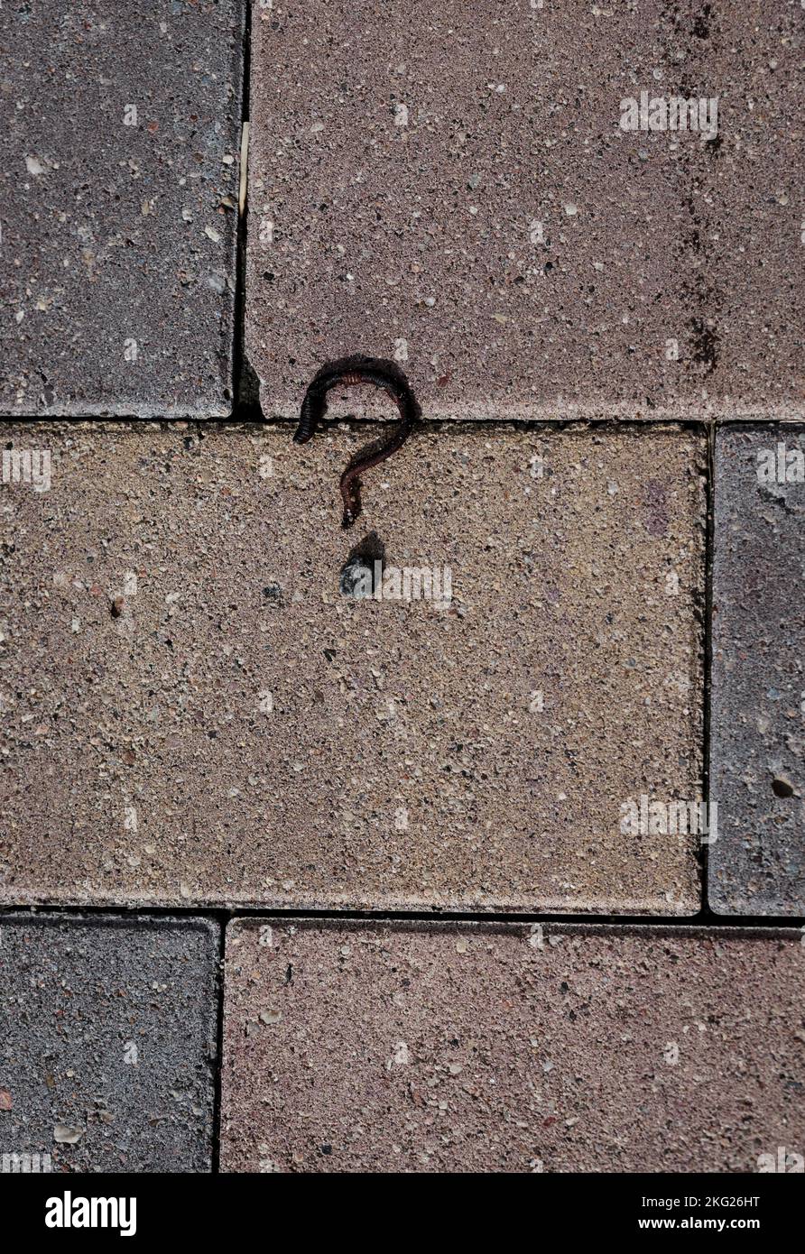 question mark made of a worm Stock Photo - Alamy