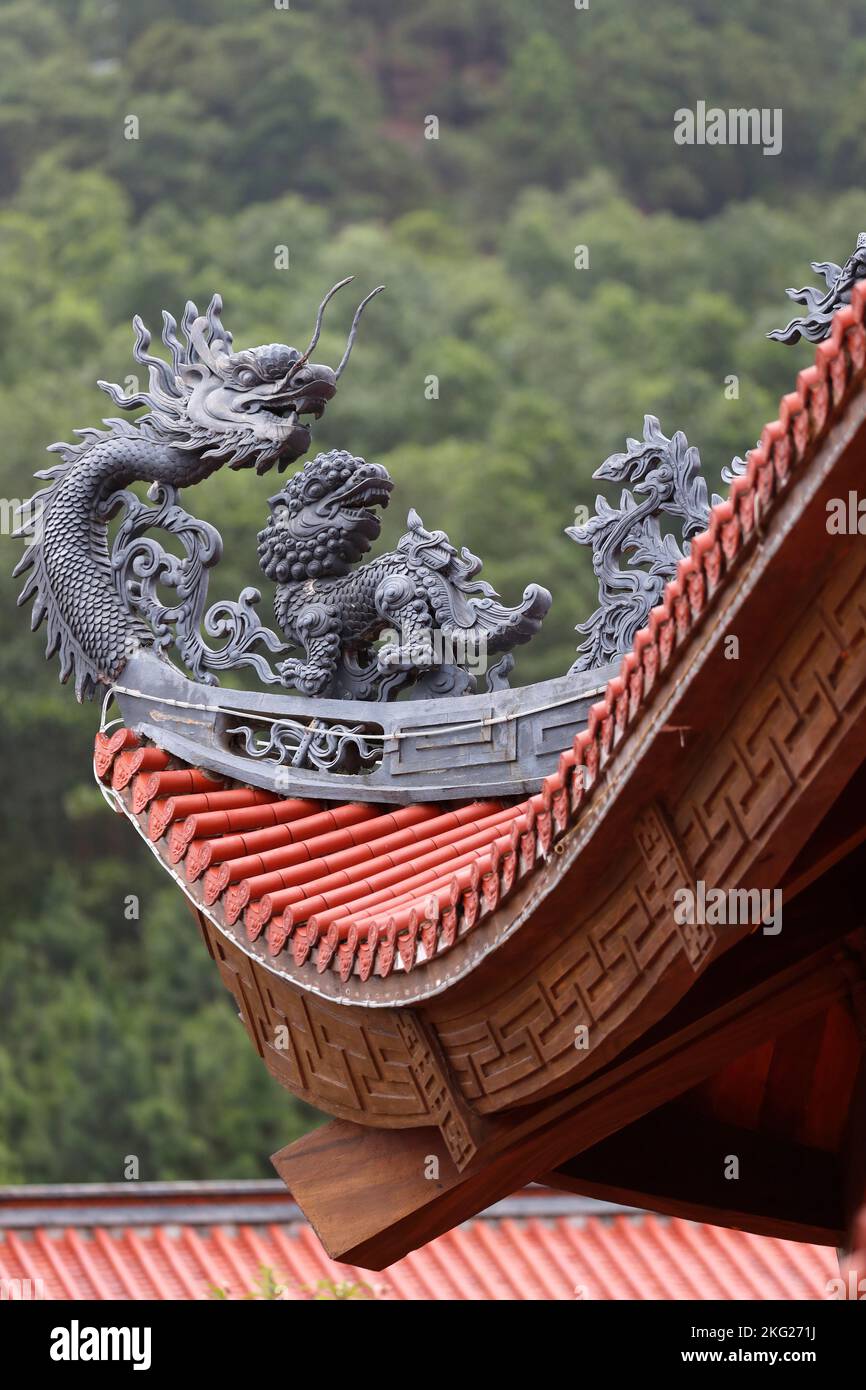 Ba Vang buddhist temple. Dragon statue on temple roof Uong Bi. Vietnam ...