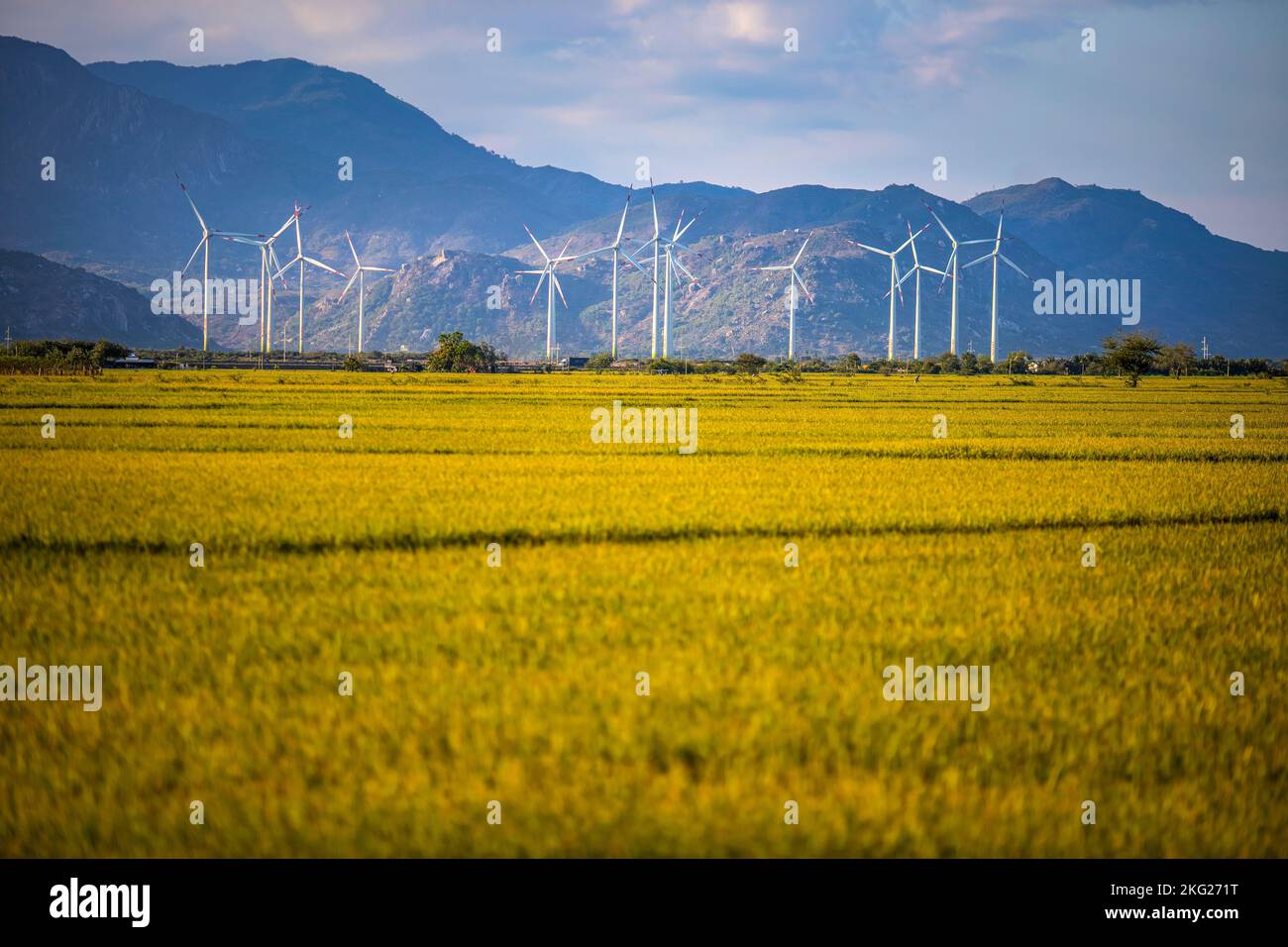 Windmill for electric power production, Wind turbines generating ...
