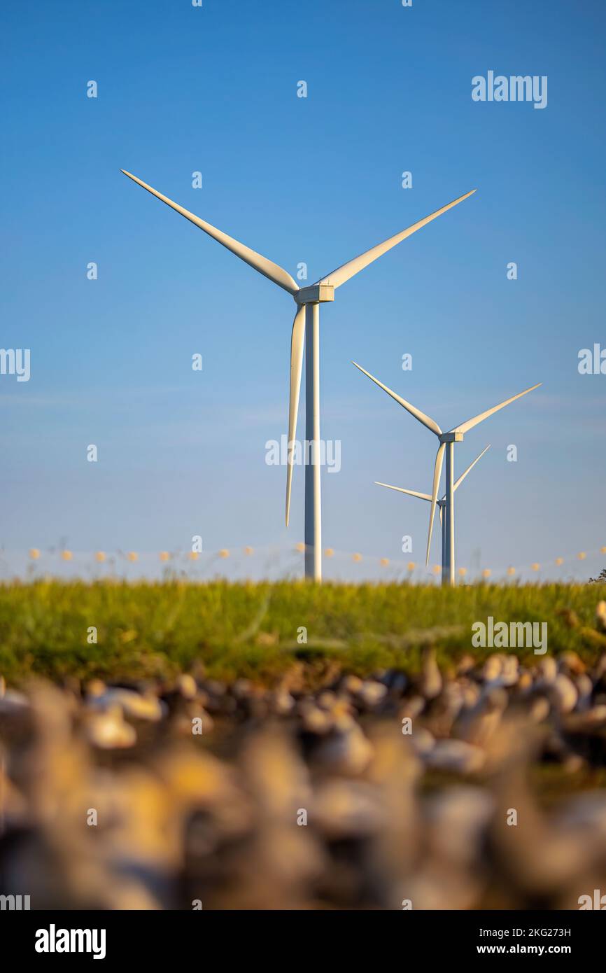 Windmill for electric power production, Wind turbines generating ...
