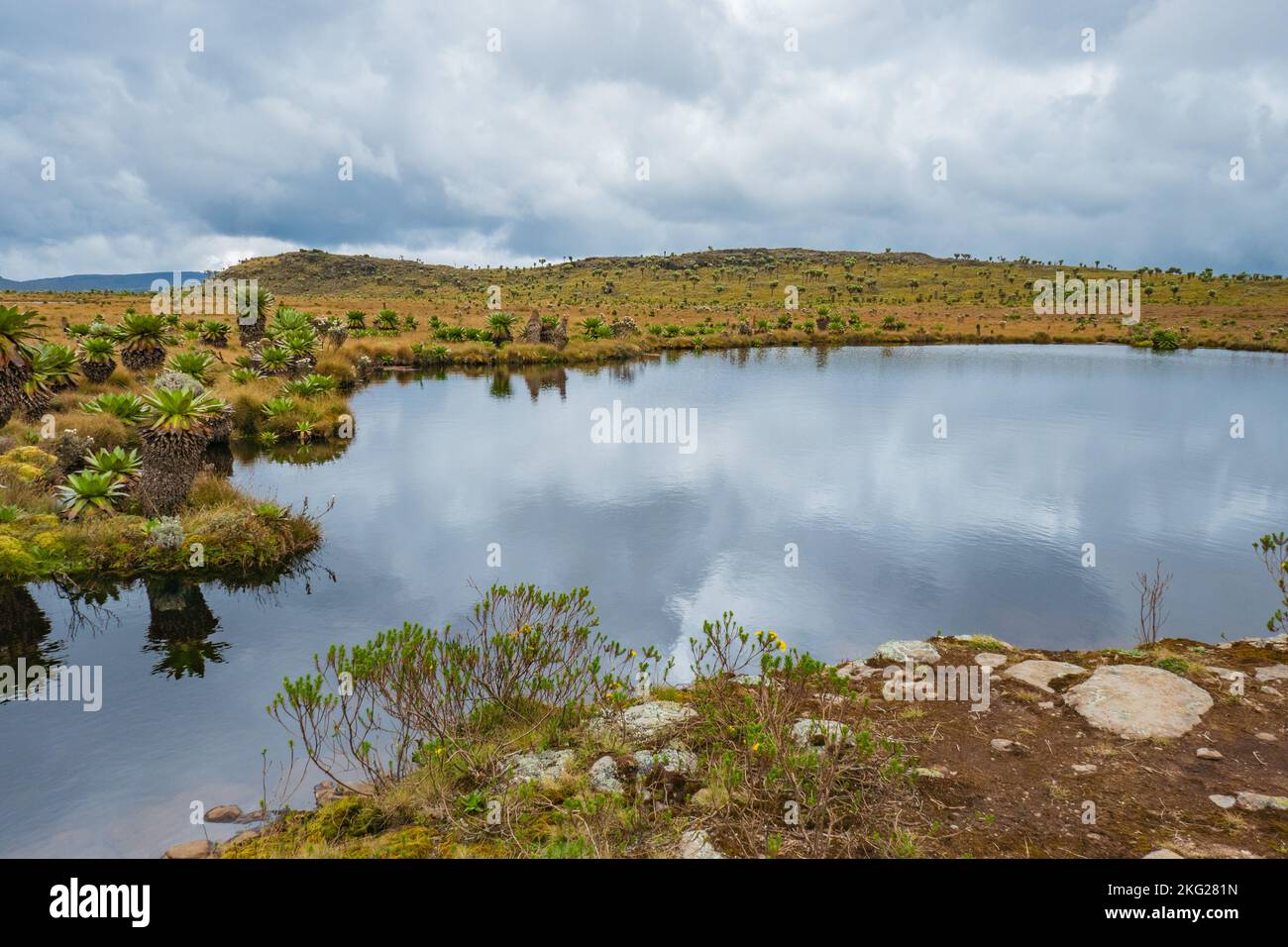 Scenic view of a pond in the 7 ponds trail of Aberdare National Park ...