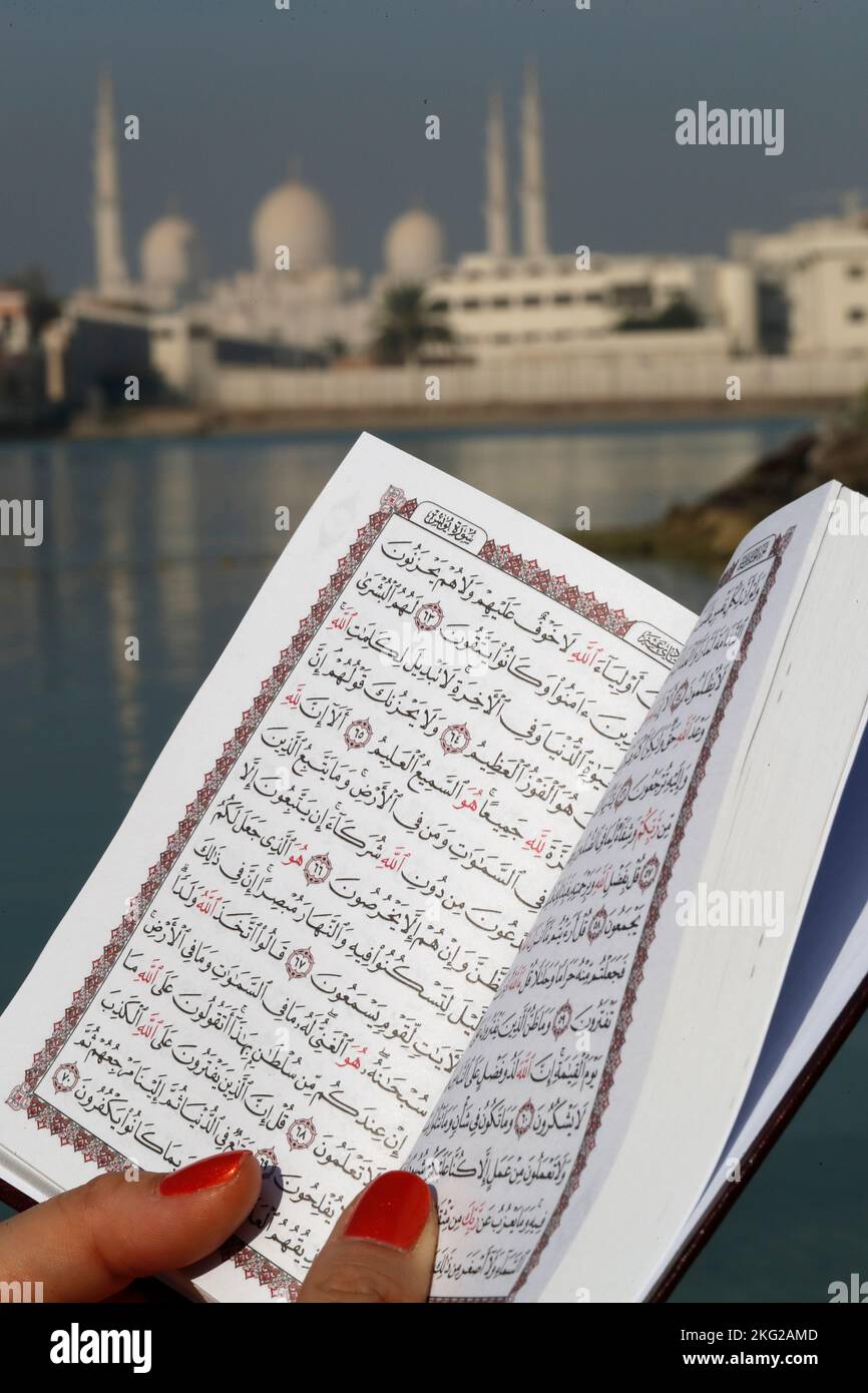 Muslim woman eading an arabic Quran. Close up on hands. Sheikh Zayed ...