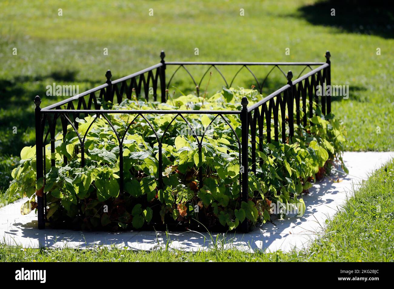 Cemetery of the Kings. Grave of Jean Calvin ( John Calvin ). Calvin was ...