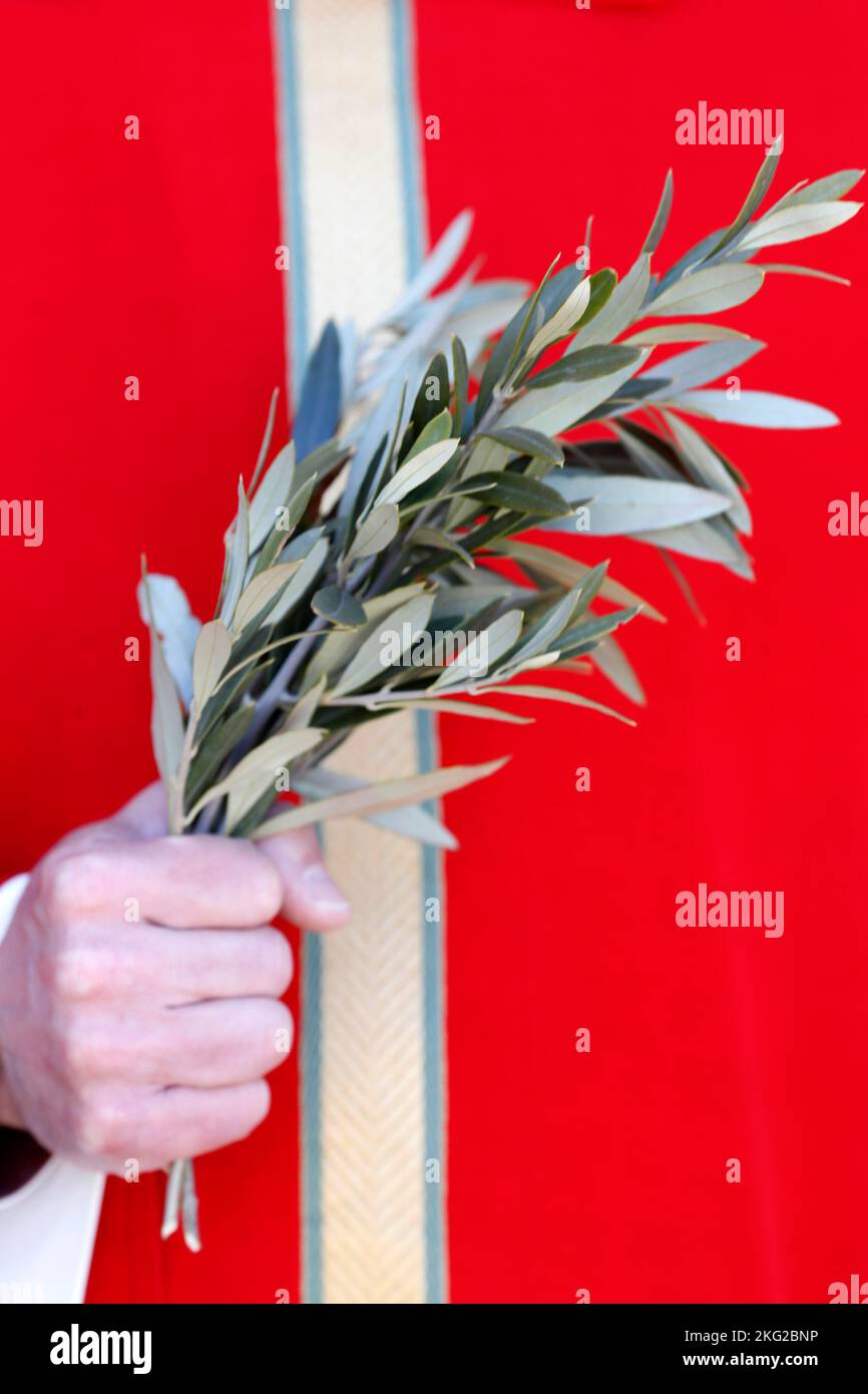 Holy week. Palm sunday mass celebration. Switzerland Stock Photo - Alamy
