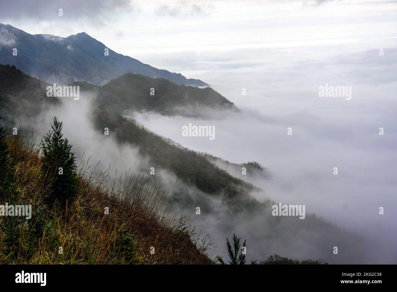 Aerial photos show the splendid views of Tianhu Naitonal Wetland Park ...