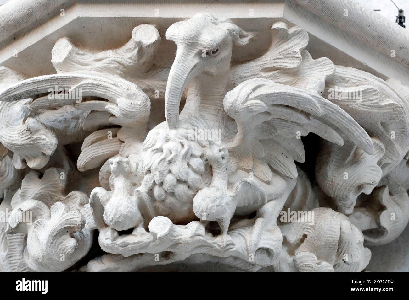 Seville Cathedral. Mother pelican feeding her little baby pelicans ...