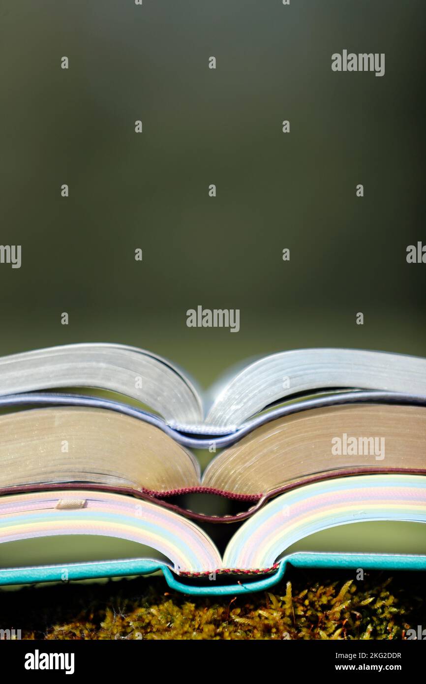 Open religious books : Quran, Bible and Torah. Christianity, Islam ...