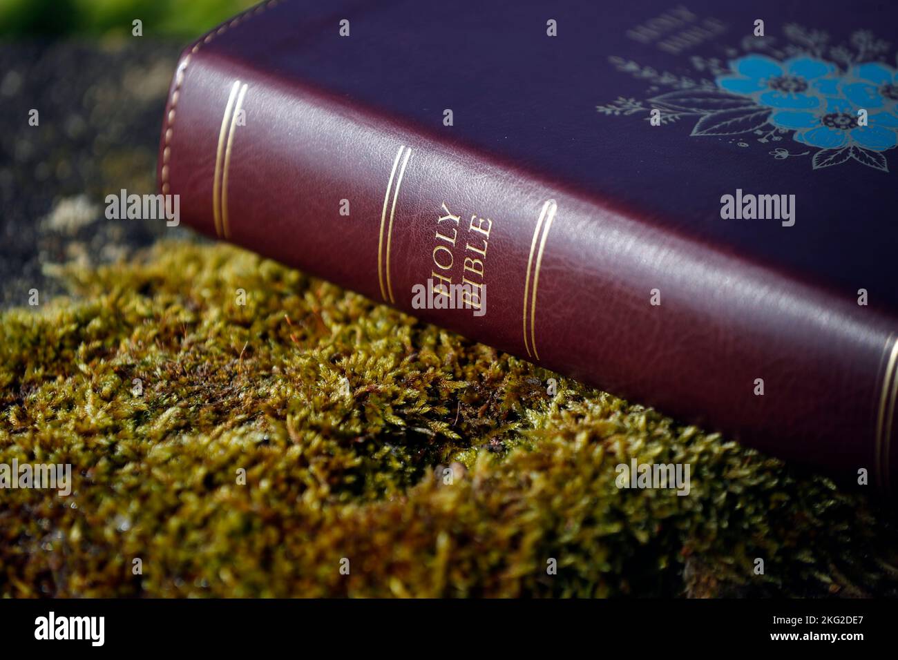 Holy bible on a rock with moss Stock Photo - Alamy