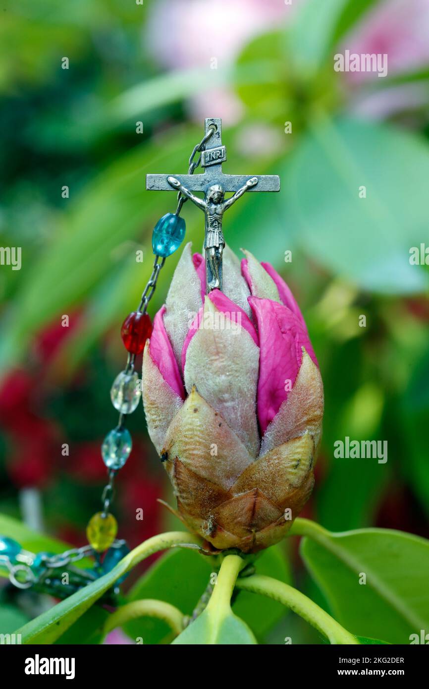 Catholic Rosary with Jesus on the cross on a pink rhododendron flower ...