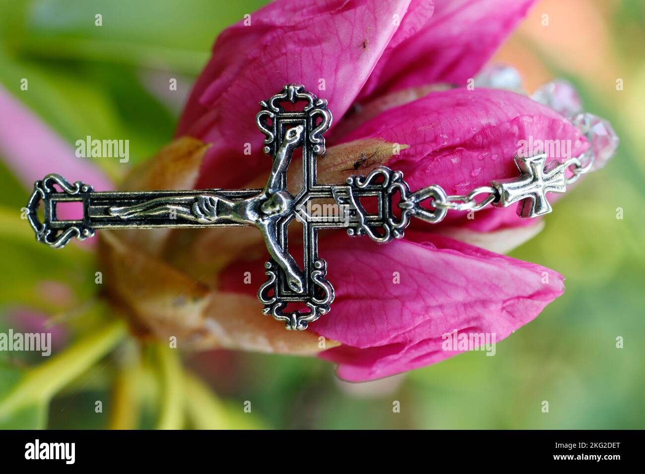 Catholic Rosary with Jesus on the cross on a pink rhododendron flower ...