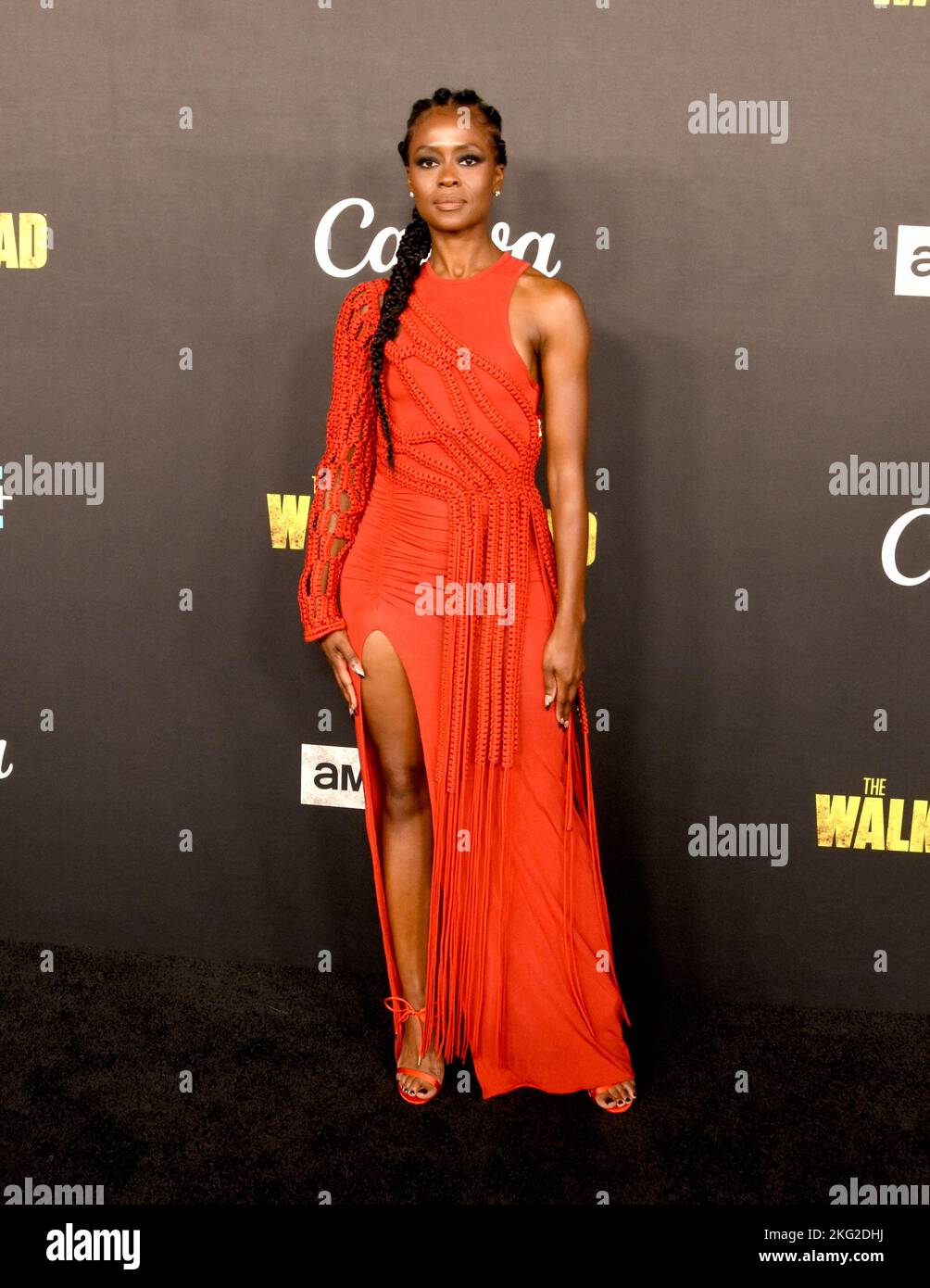 Medina senghore hi-res stock photography and images - Alamy