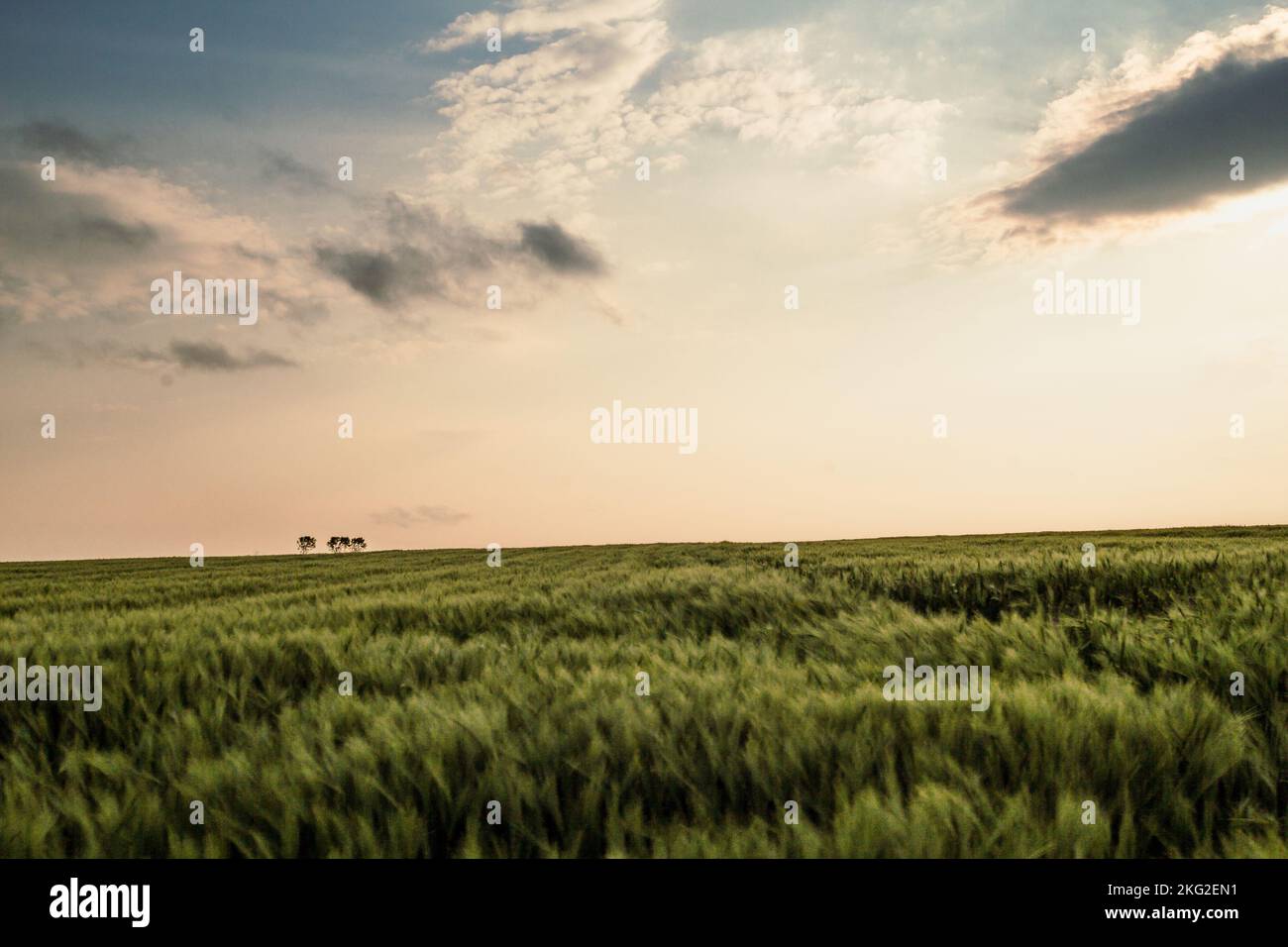 Prairie image hi-res stock photography and images - Alamy