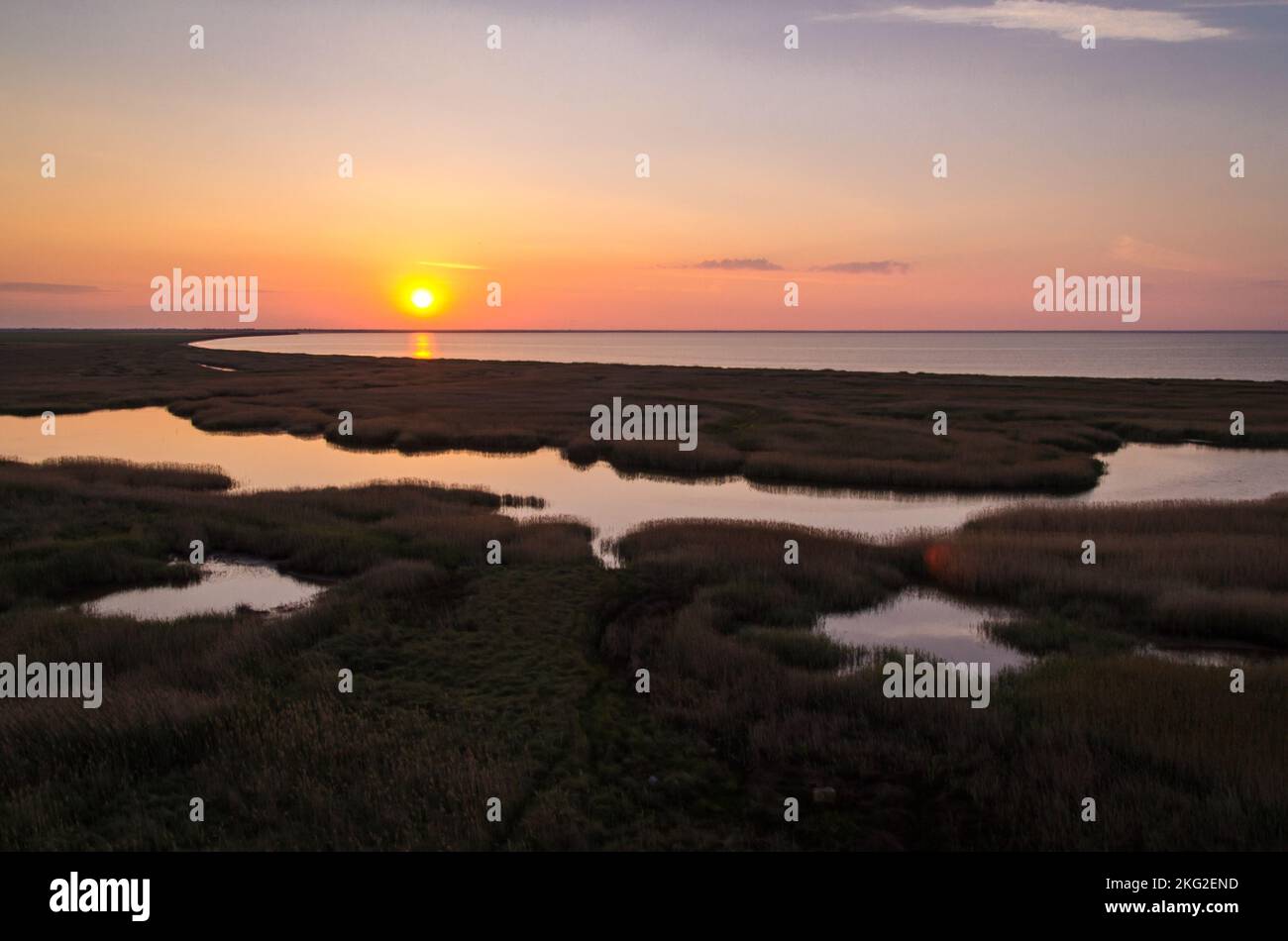 Marshland in sunset landscape photo Stock Photo - Alamy