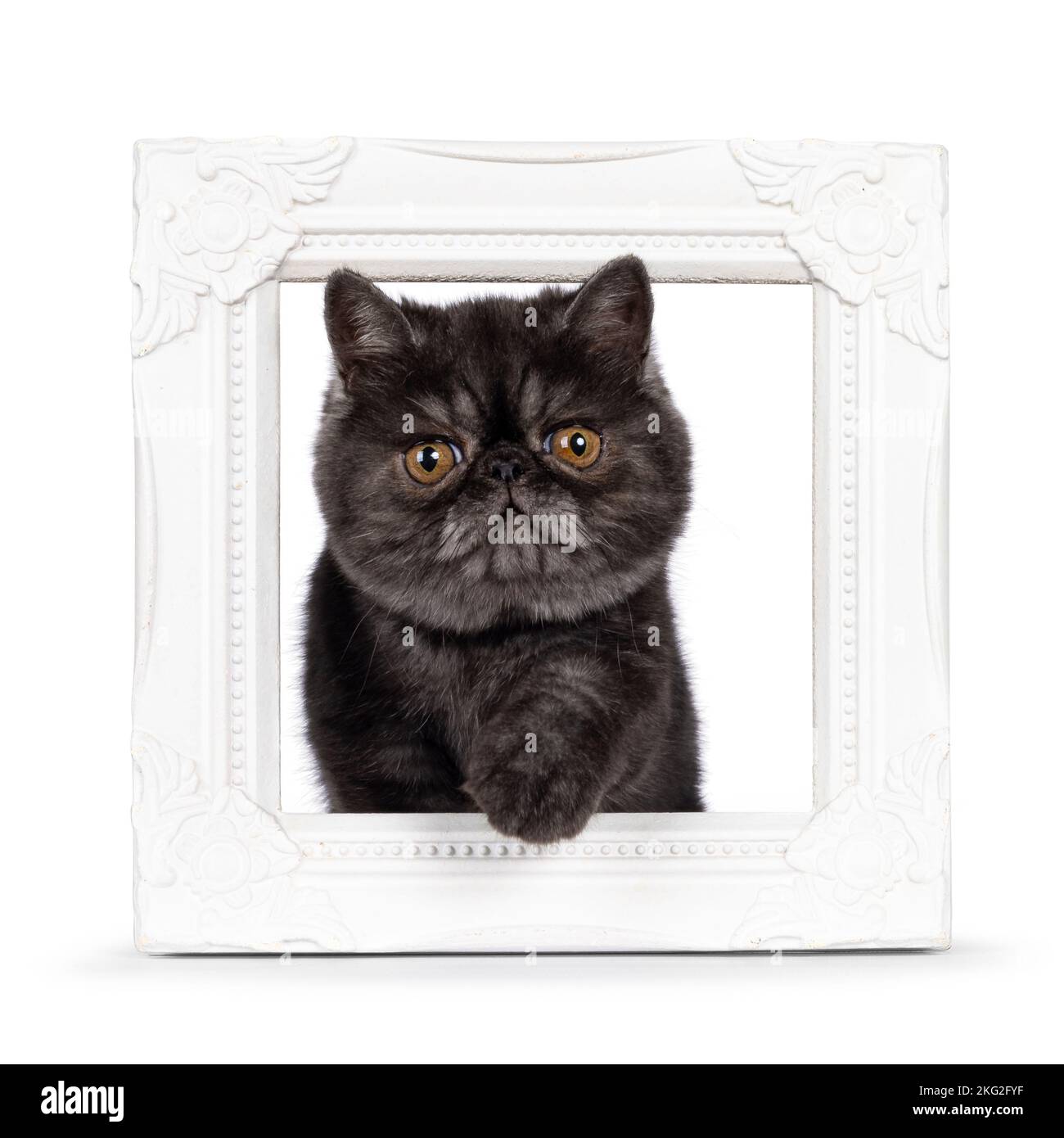 Stepping through frame hi-res stock photography and images - Alamy