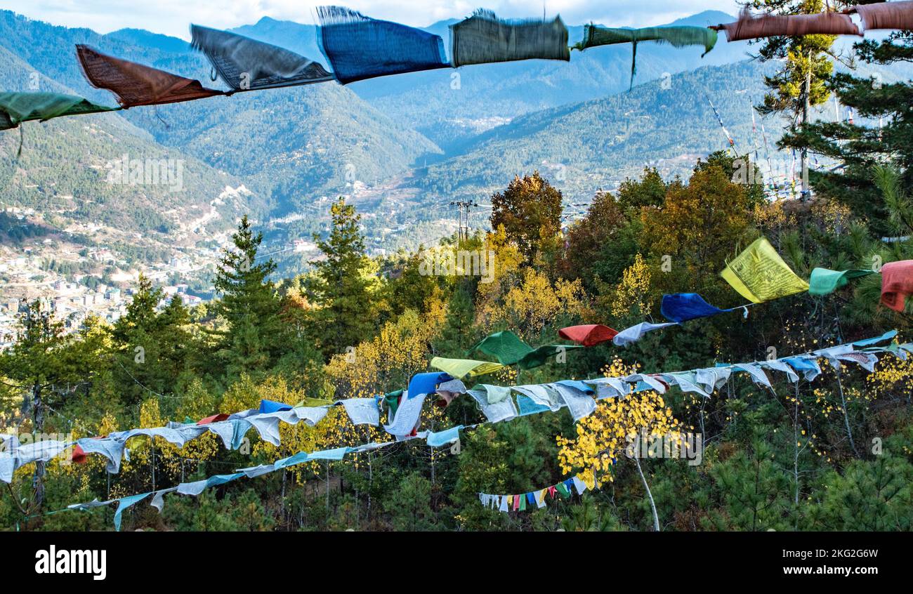 Beautiful colour dispaly by the forest in Bhutan Stock Photo - Alamy