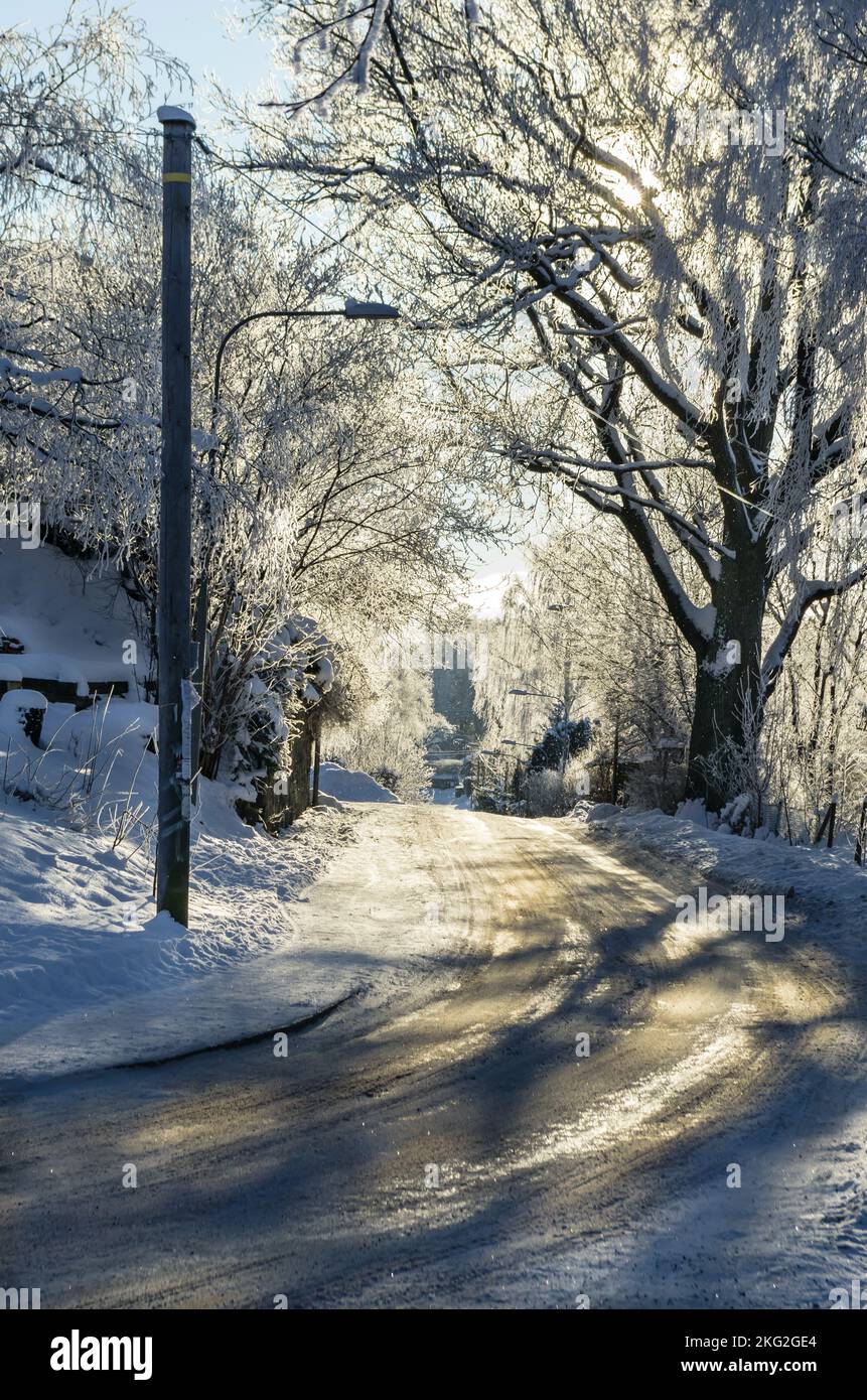 Winding road in snowy landscape with a pale sun shining in winter Stock ...