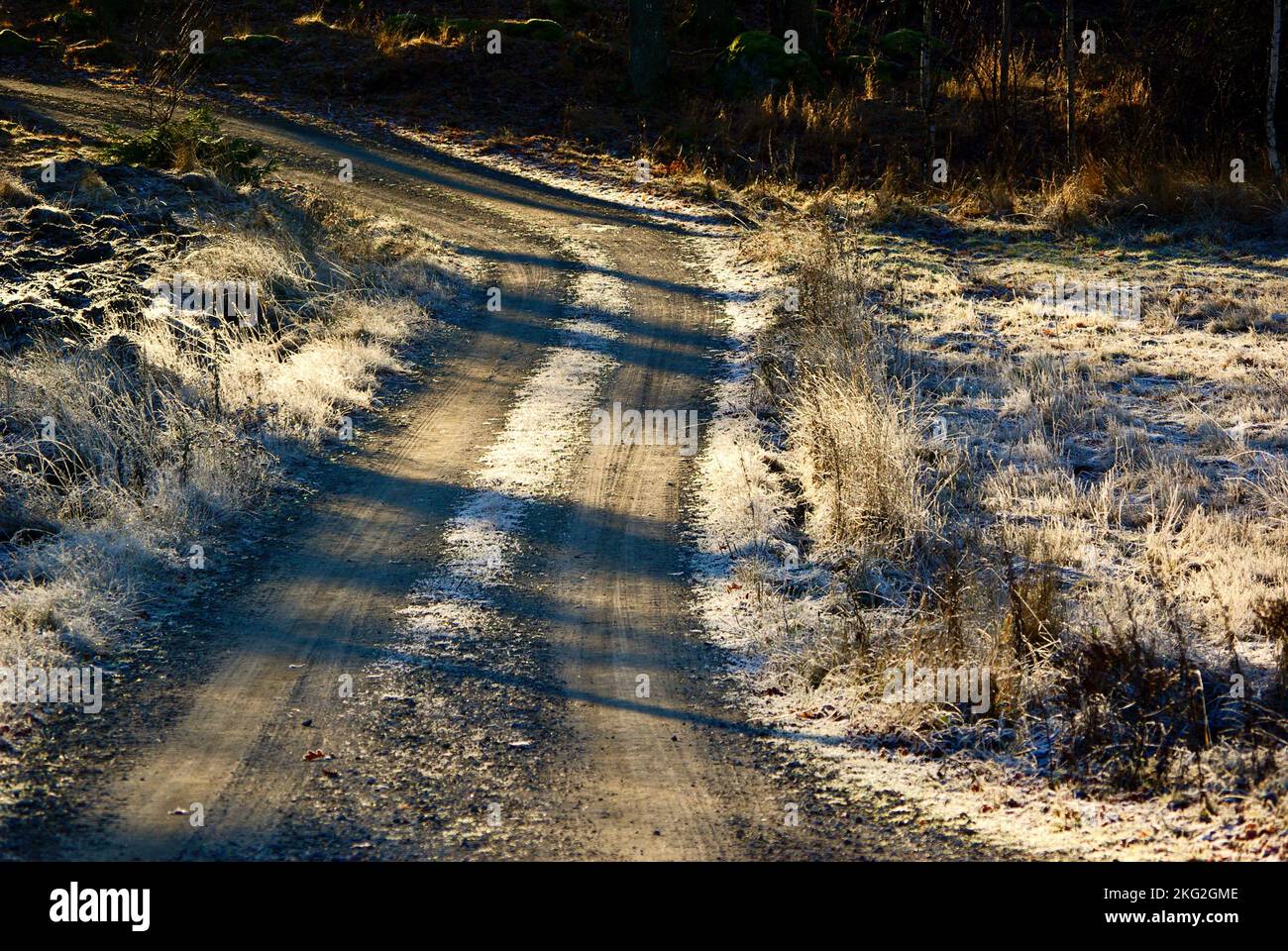 Curved frosty unpaved road in the countryside in late autumn Stock ...
