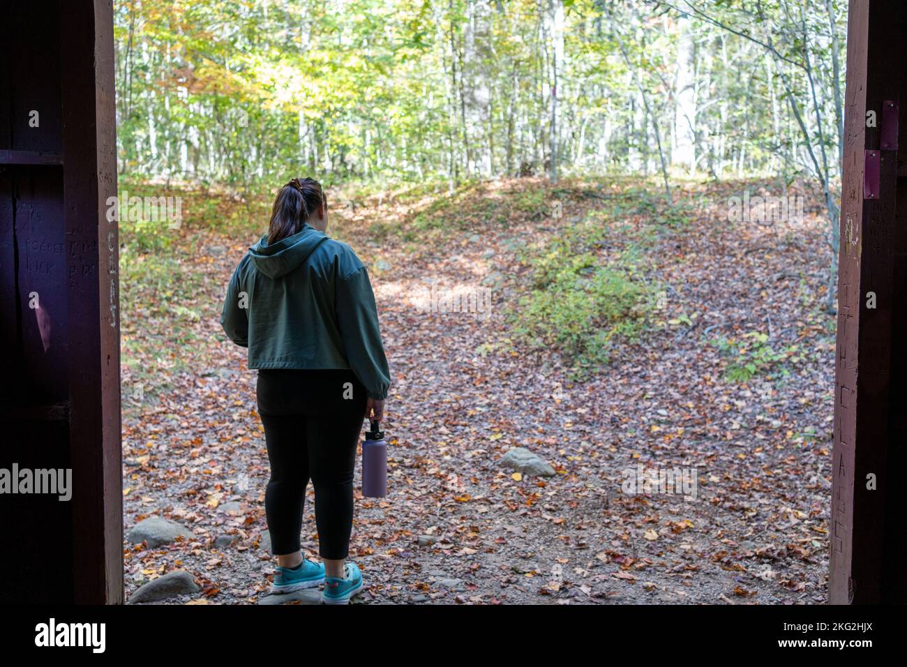 A female standing in a forest behind wooden walls Stock Photo - Alamy