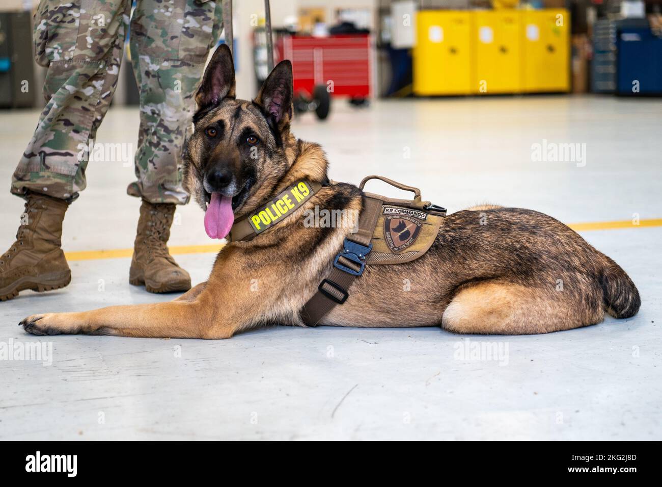 U.S. Air Force 92nd Security Forces Squadron Military Working Dog Ricsi ...