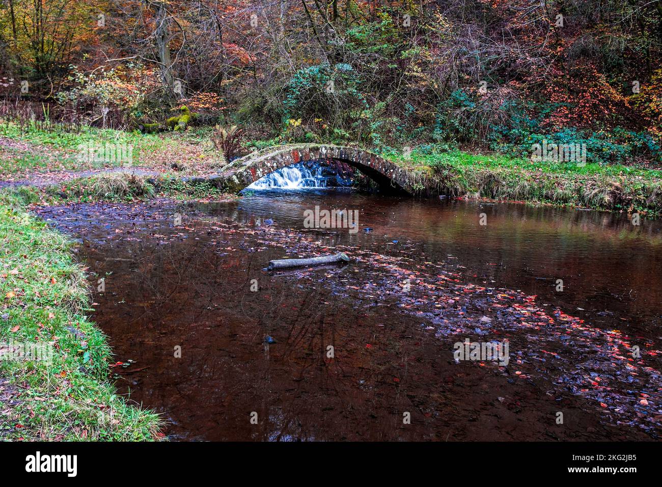 Bridge over the lake in Sunnyhurst Woods Stock Photo - Alamy