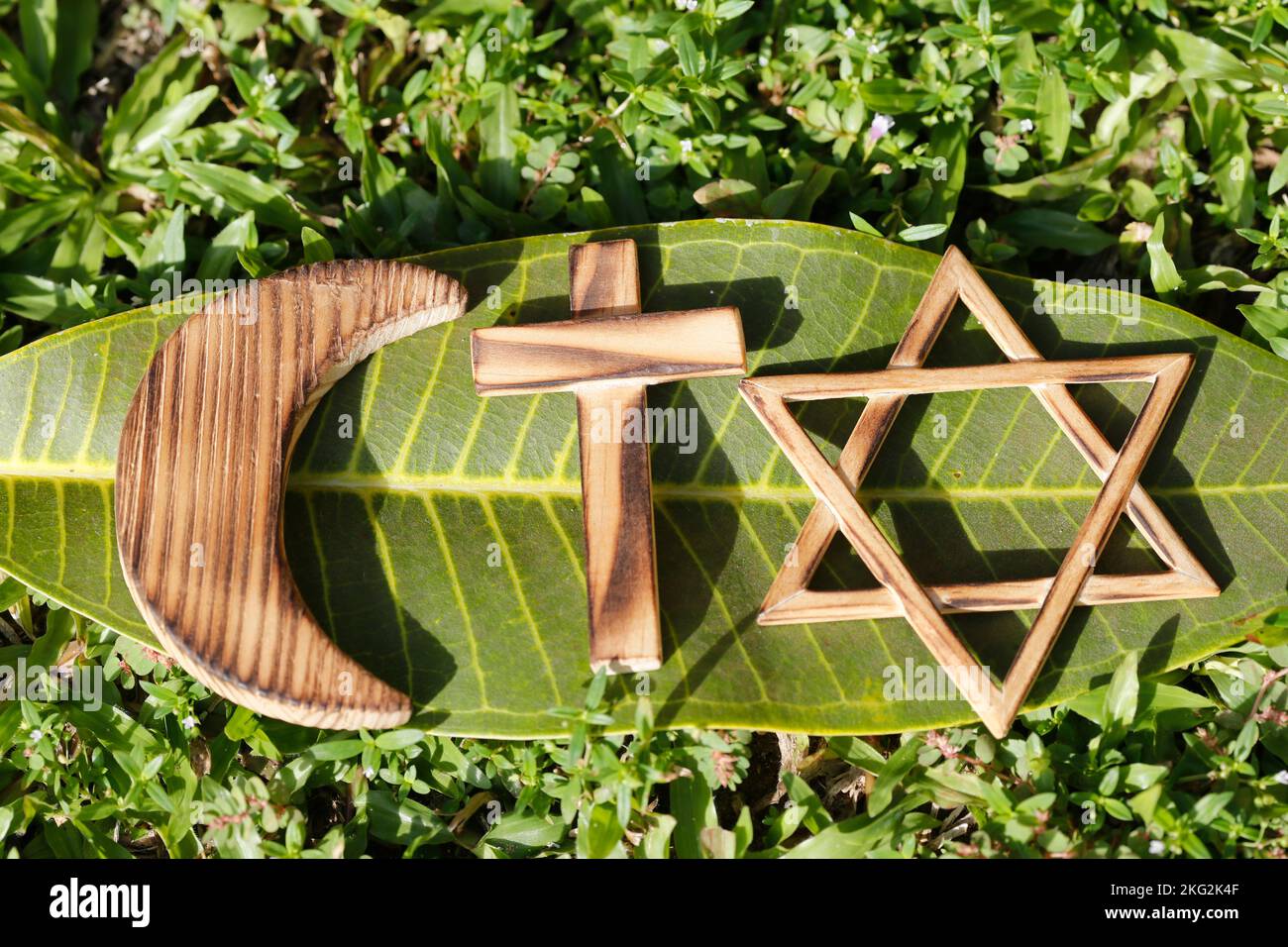 Religious symbols on a green leaf : Jewish Star of David, Muslim Star ...