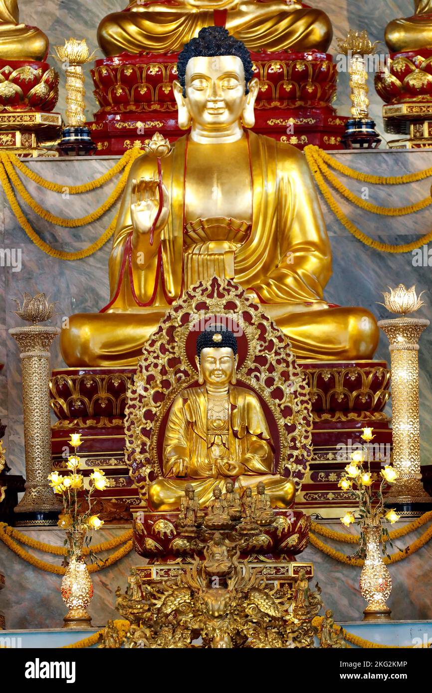 Ba Vang buddhist temple. Golden Buddha statues on main altar. Uong Bi ...