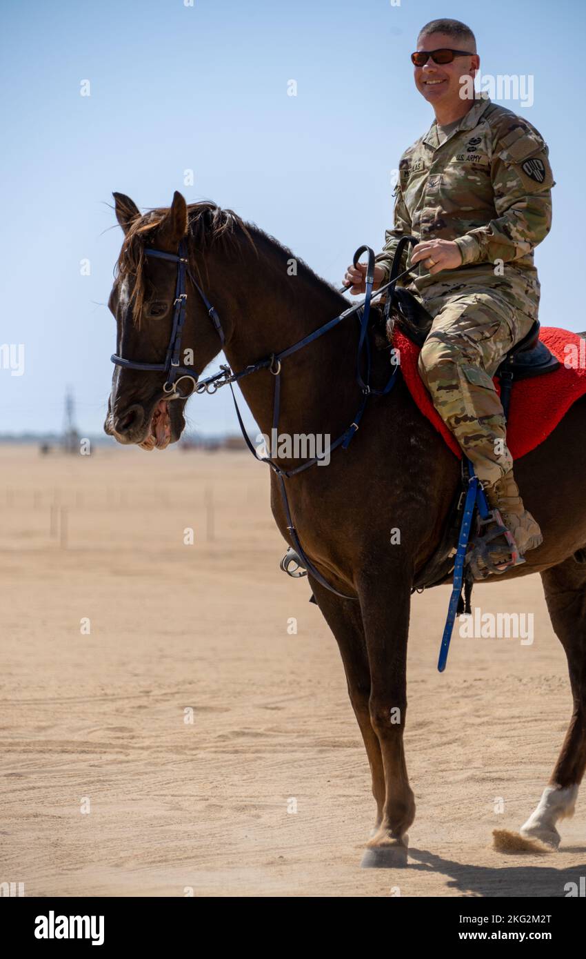 U.S. Army Col. Seth Morgulas, commander of the 369th Sustainment ...