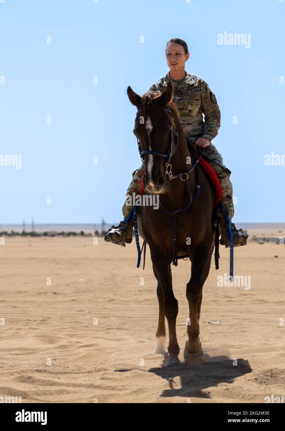 U.S. Army Col. Carrie Perez, commander of the 36th Sustainment Brigade ...