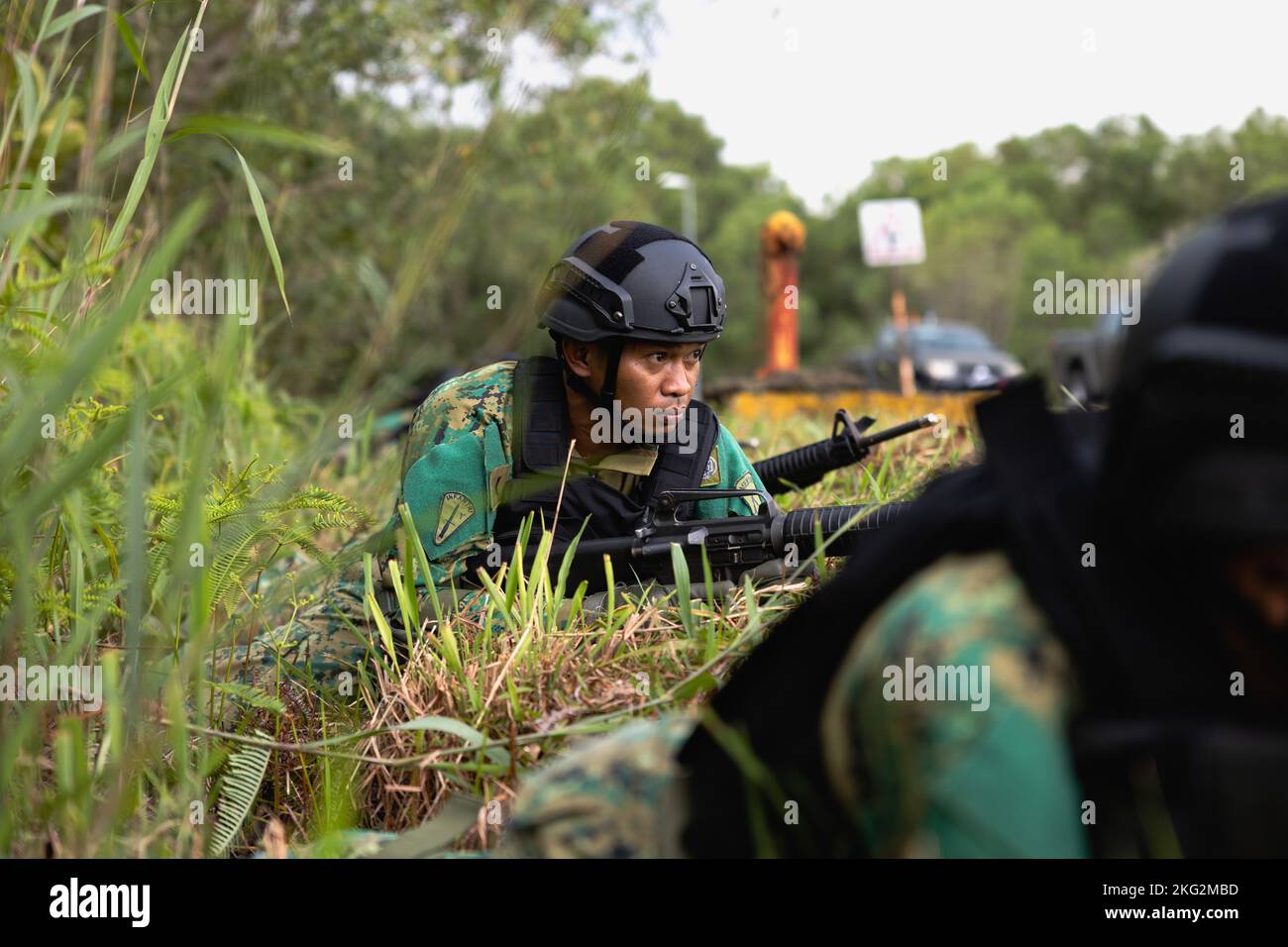 A Royal Brunei Land Force (RBLF) soldier with 2nd Battalion, RBLF ...