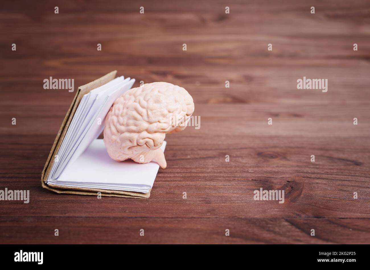 Human brain figurine placed inside an open book on a wooden table ...