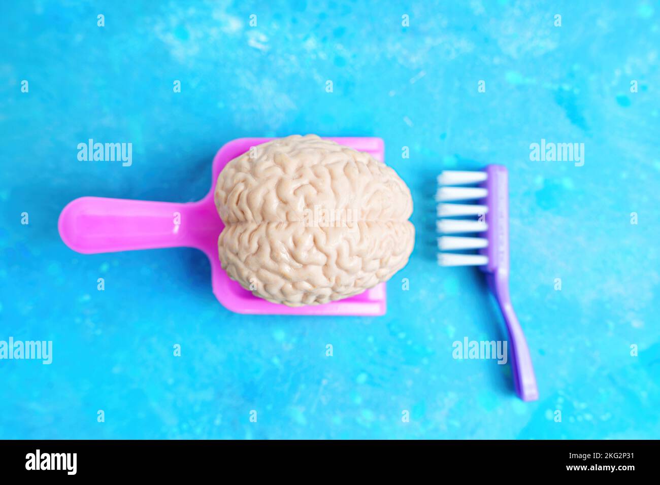 Human brain, toy dust pan and brush on blue background. Creative mind ...