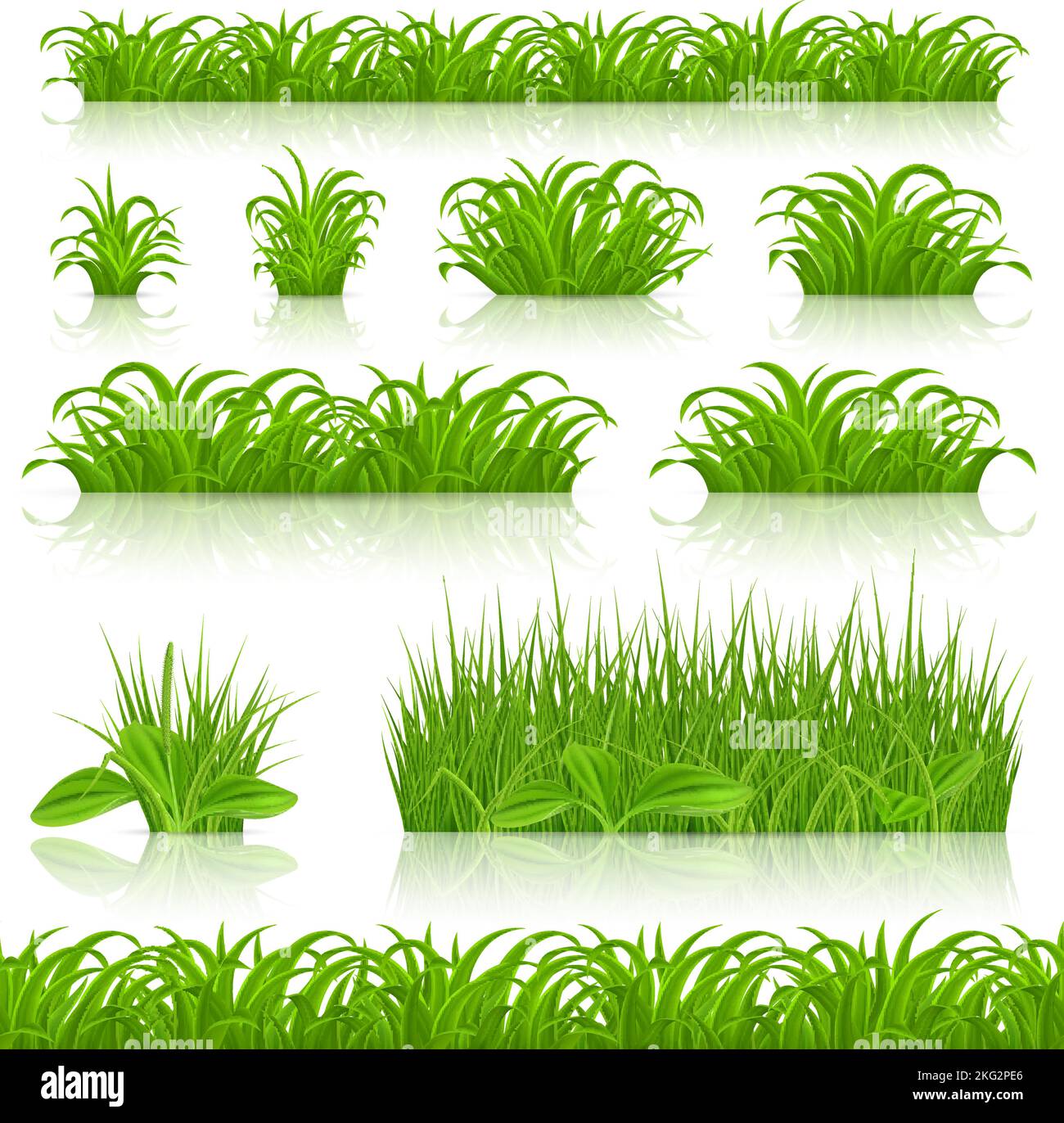 Big Grass Borders Set Isolated on White Background Stock Vector Image ...