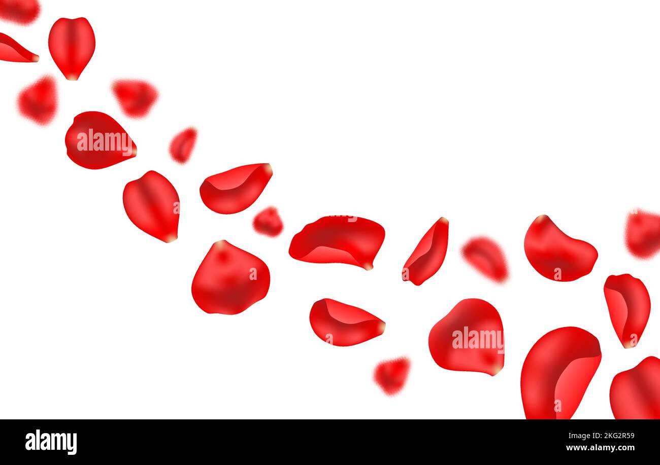 Flying rose petals vector background of wedding invitation or ...
